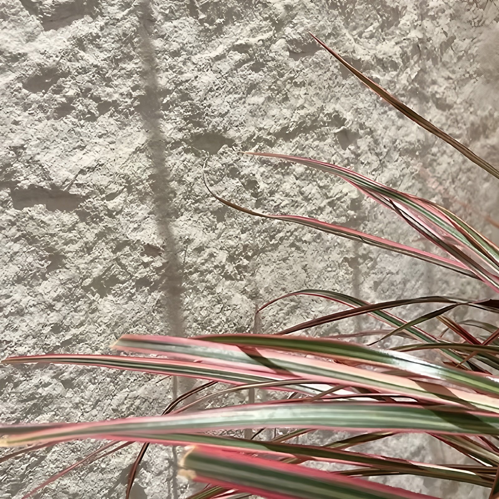 Middle East Wall Panel Solutions | JMS Decor